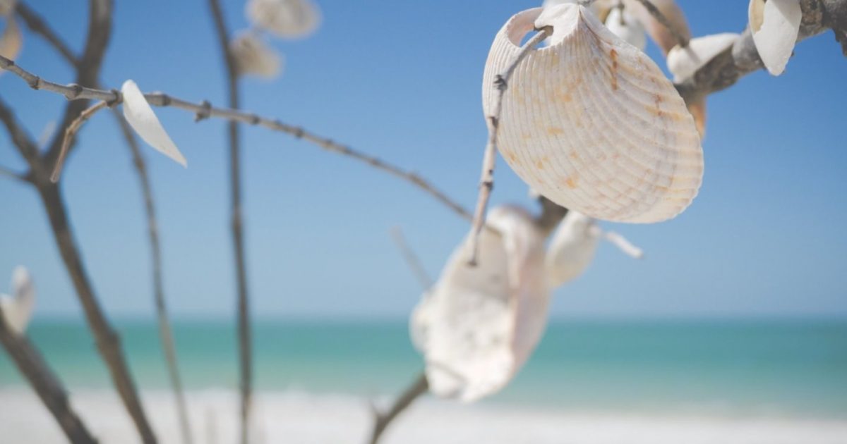 Cigna Master Health Plan Offered in Florida | G&A Partners